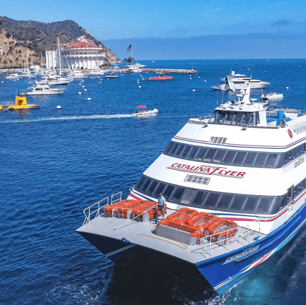 Why Catalina Island Makes for the Perfect Day Excursion | Beachview Rentals