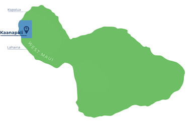 Kaanapali Vacation Rentals & Luxury Condos - Maui Resort Rentals